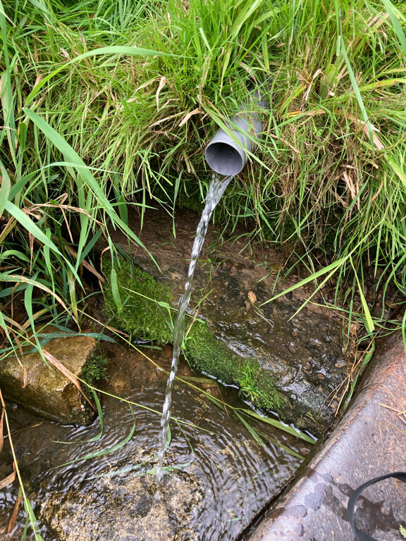 Pınar, çay Spring, stream, Moskova ve Moskovskaya oblastı, foto