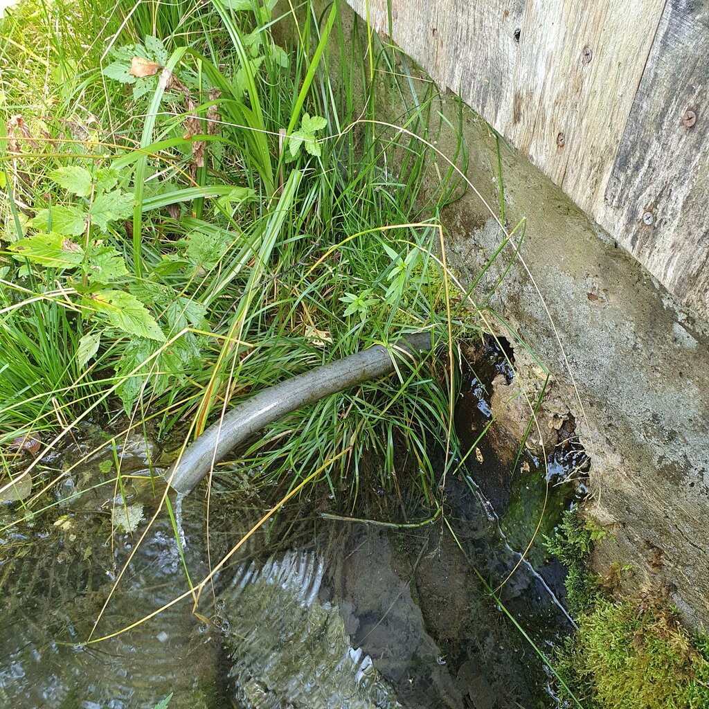 Pınar, çay Spring, stream, Moskova ve Moskovskaya oblastı, foto