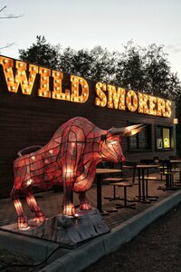 Wild smokers (Lazurnaya ulitsa No:1, derevnya Enkolovo, Russian Federation), fast food