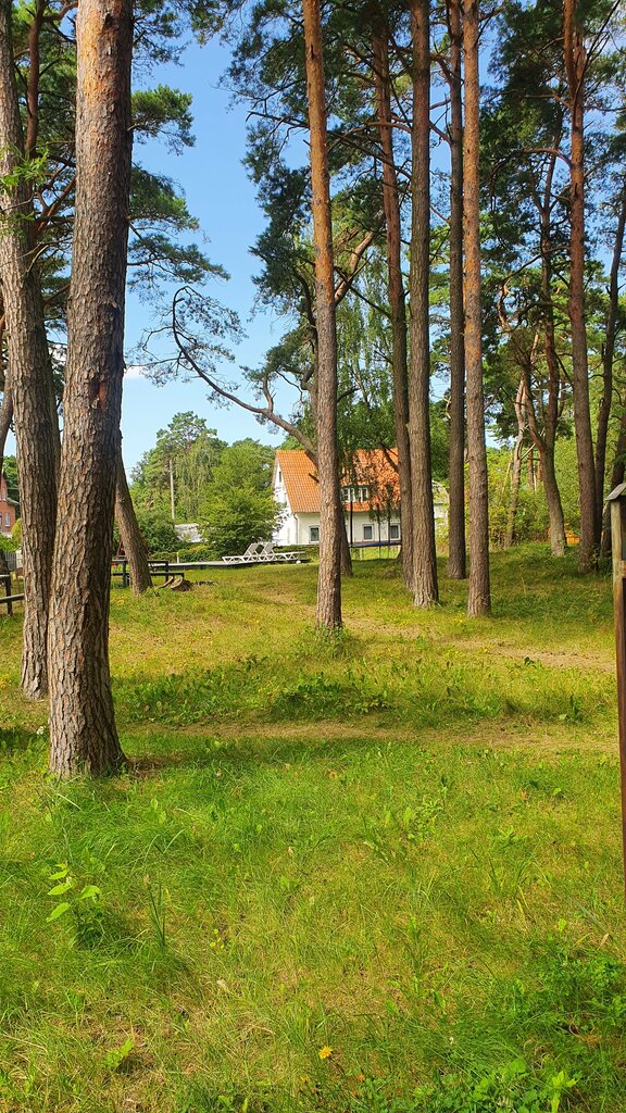 Tatil köyleri Baza otdykha Baltika, Kaliningradskaya oblastı, foto