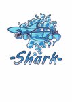 Shark (Vladimira Kulagina Street No:9), oto yıkama  Kazan'dan
