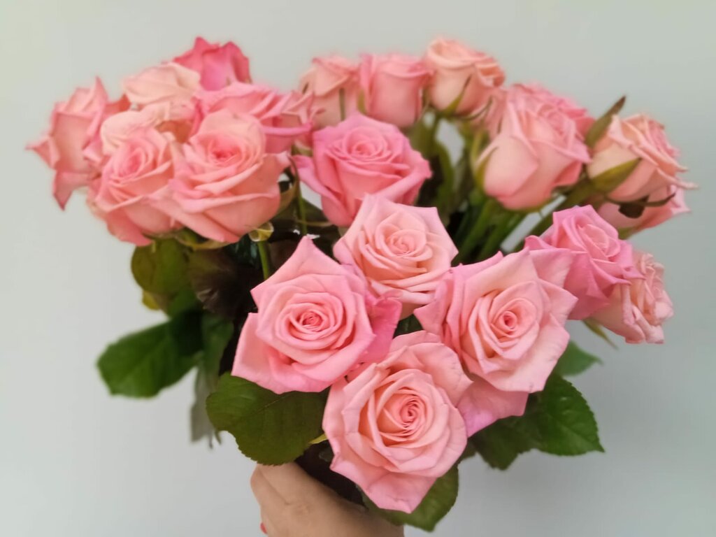 Çiçekçiler Цветочная мастерская Бутон, Riazanskaya oblastı, foto