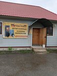 Nashi Pechi (Kolkhoznaya ulitsa No:2), soba, şömine  Sasovo'dan