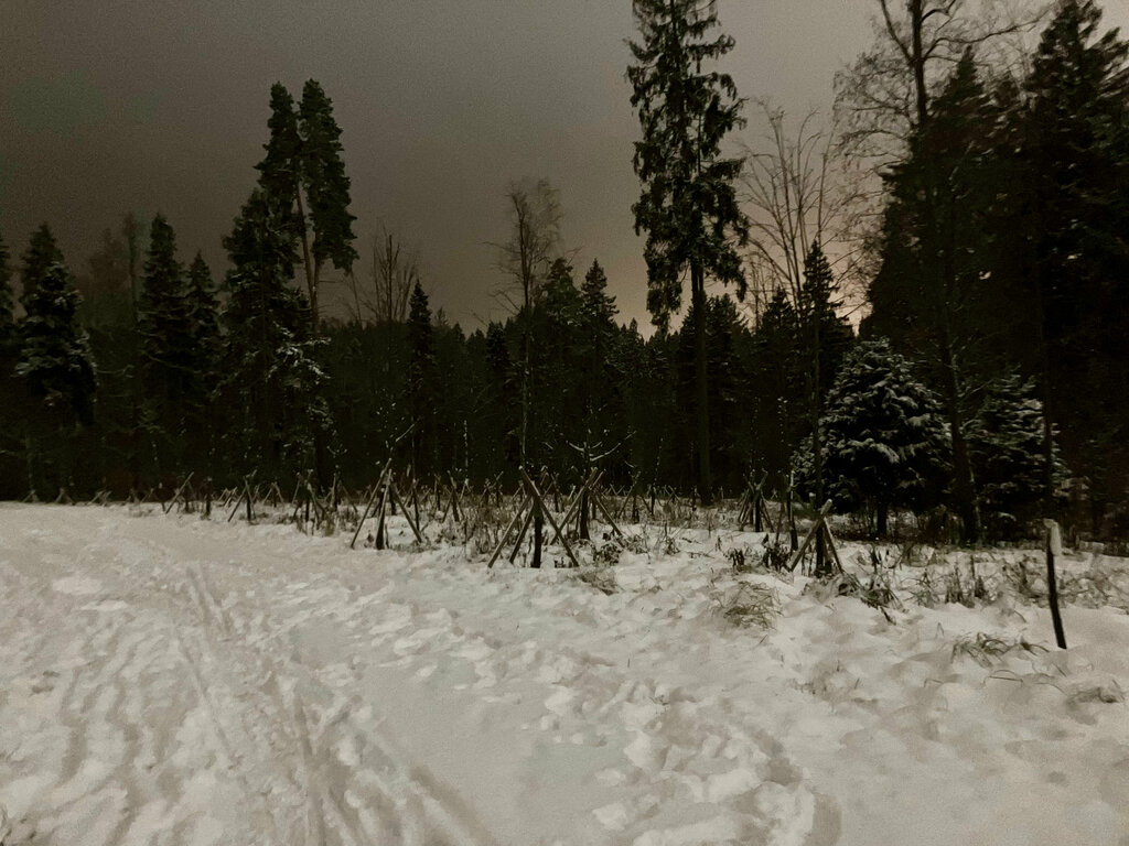 Piknik alanı Место для пикника, Zelenograd, foto