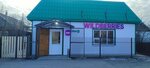Elena (Kolsevaıa kóshesi No:39/1, Village of Derkul), market  Batı Kazakistan eyaletinden