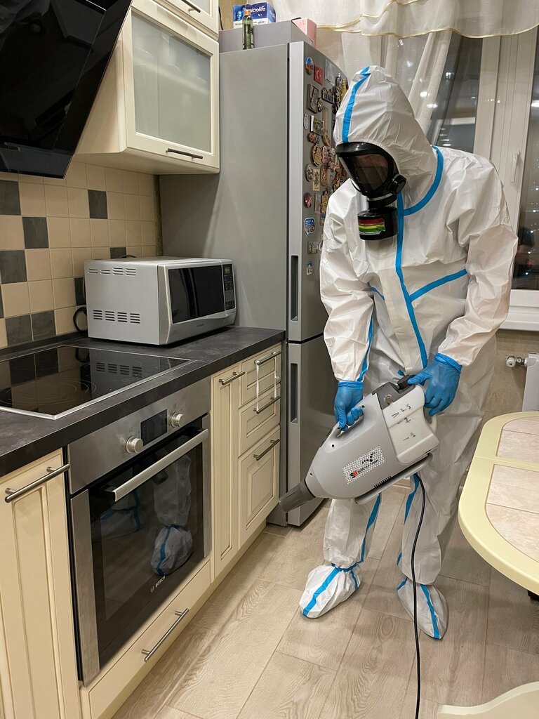 Temizlik şirketleri Roach busters, Moskova ve Moskovskaya oblastı, foto