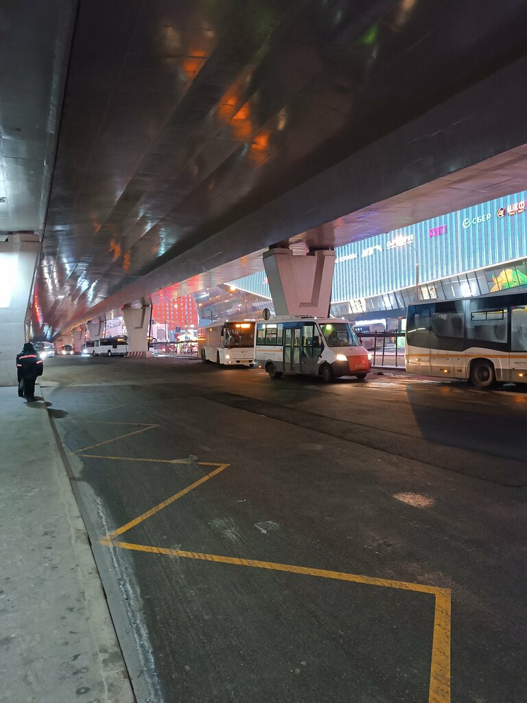 Toplu taşıma durağı Metro Shchyolkovskaya, Moskova, foto