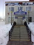 Kozmodemyanskaya Mezhrayonnaya Elektroset (Republic of Mari El, Kozmodemyansk, 3rd Microdistrict), merkezi ısıtma sistemleri  Kozmodemyansk'tan