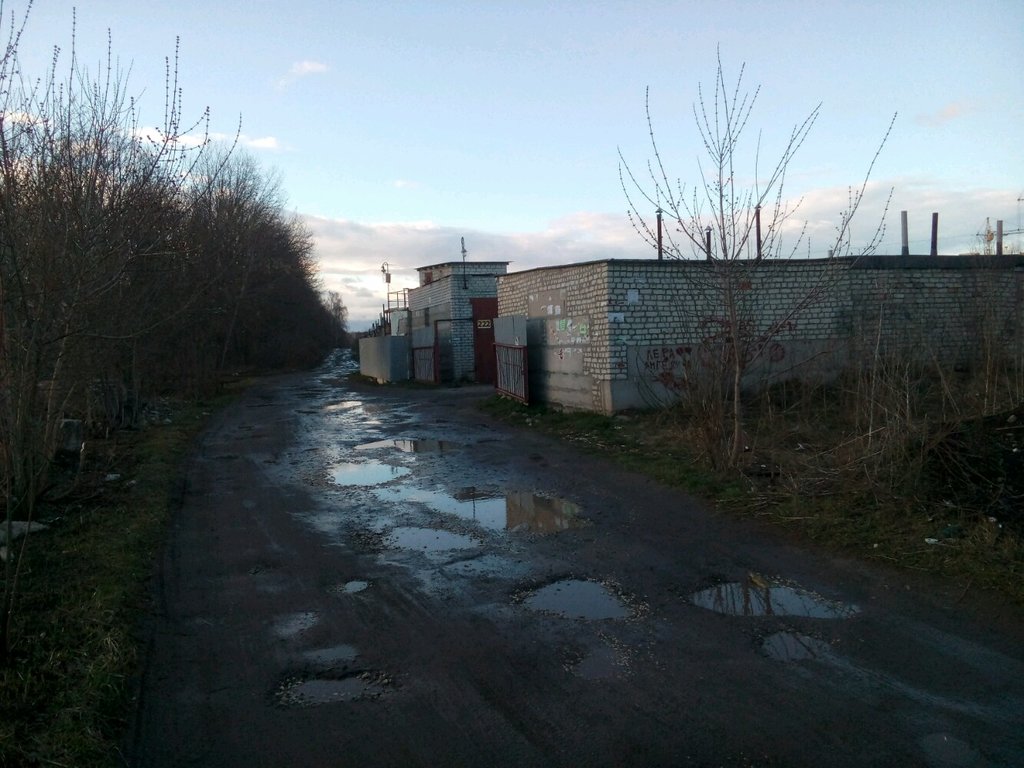 Garajlar ГК Птицевод, Riazan, foto