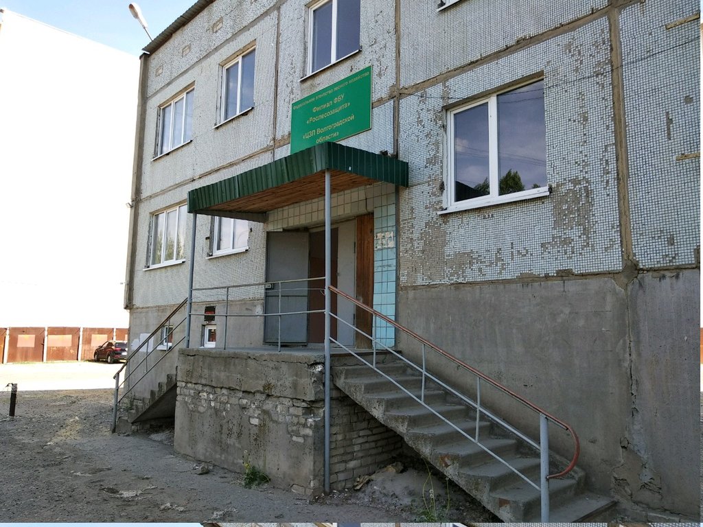 Orman işleri Filial Fbu Rossleszashchita Tsentr zashchity lesa Volgogradskoy oblasti, Volgograd, foto