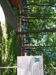 Playground (Moscow, Severo-Zapadniy Administrative Okrug, Severnoye Tushino District), oyun alanı  Moskova'dan