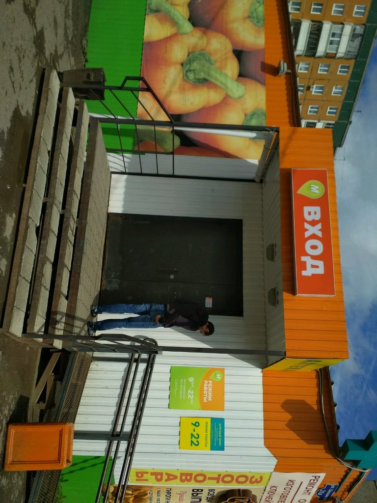 Petshop Лапки, Perm, foto