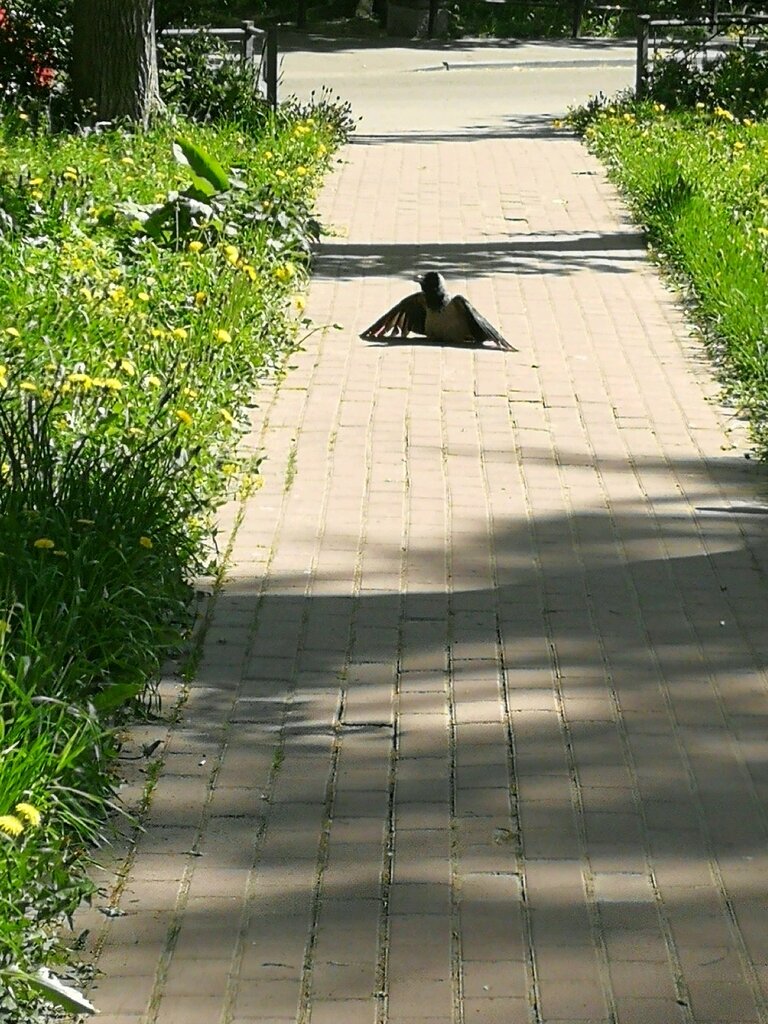 Oyun alanı Детские игровые залы и площадки, Saint‑Petersburg, foto