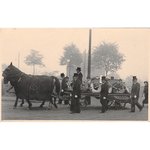 Schmülling & Schmülling oHG Bestattungen (Klein-Erkenschwicker-Straße No:153, Oer-Erkenschwick), cenaze hizmetleri  Oer‑Erkenschwick'ten