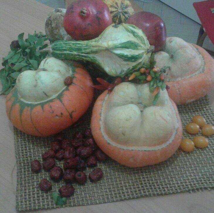 Sivil toplum kuruluşları Masseria Denteferro, Campania, foto
