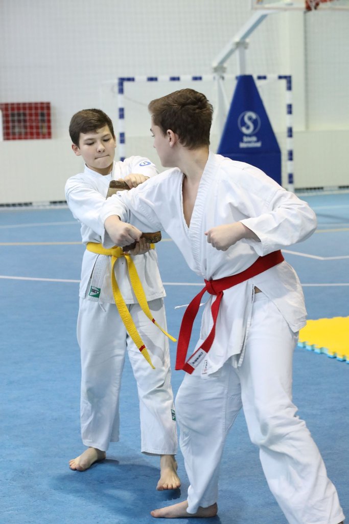 Spor kulüpleri Aikido Atemi Dojo, Obninsk, foto