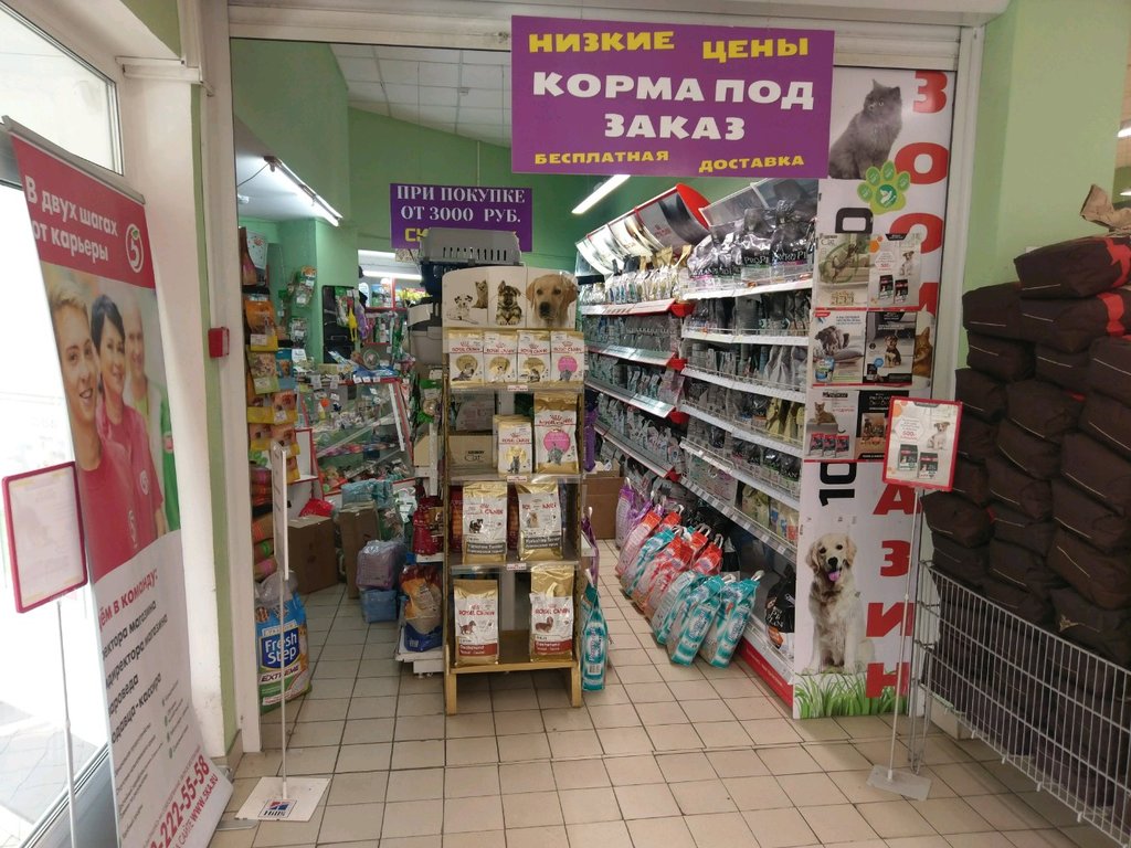 Petshop Kot i pes, Saint‑Petersburg, foto
