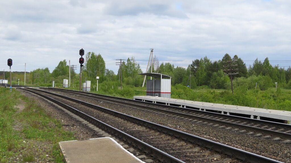 Tren istasyonu остановочный пункт 1129 километр, Arhangelskaya oblastı, foto
