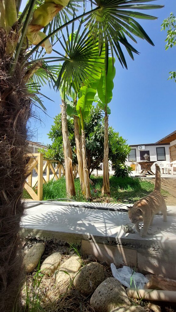 Otel Гостевой дом, Derbent, foto
