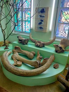 Museum of the History of the city (ulitsa Karla Marksa No:8, Chistopol), müzeler ve sanat galerileri  Çistopol'dan (Çistey'den)