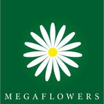 MegaFlowers (Suvorova Street No:90А), çiçekçiler  Penza'dan