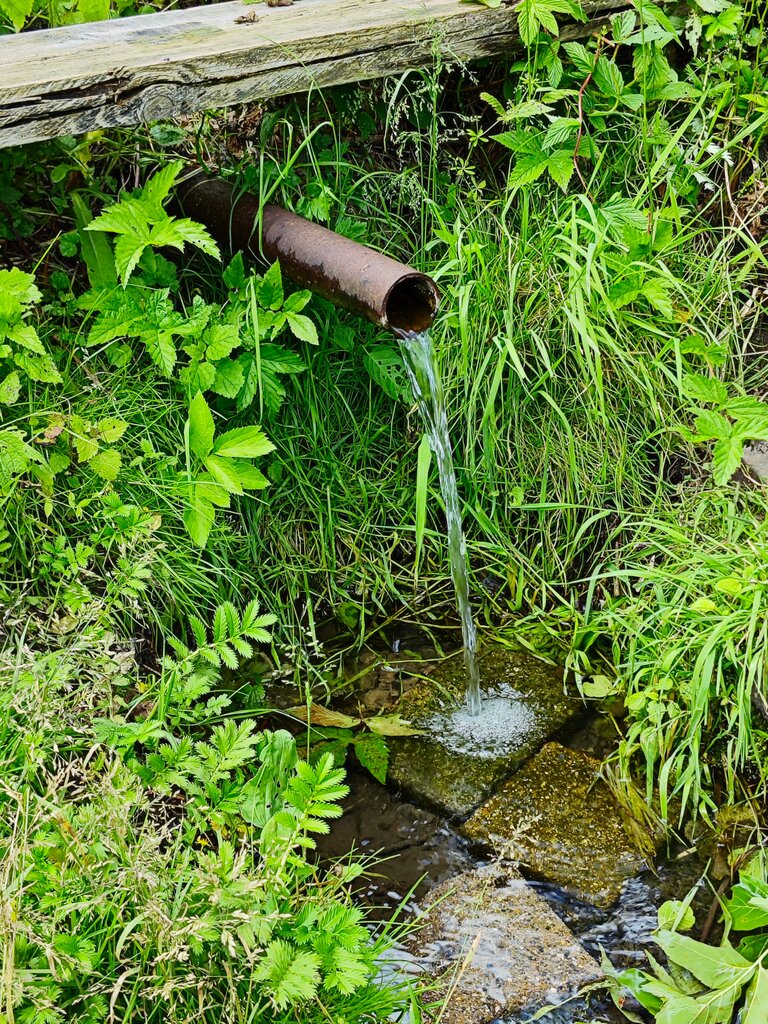 Pınar, çay Spring, stream, Riazanskaya oblastı, foto