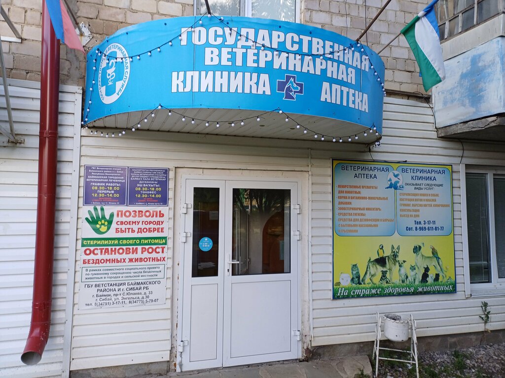 Veteriner klinikleri Баймакская городская ветеринарная лечебница, Baymak, foto
