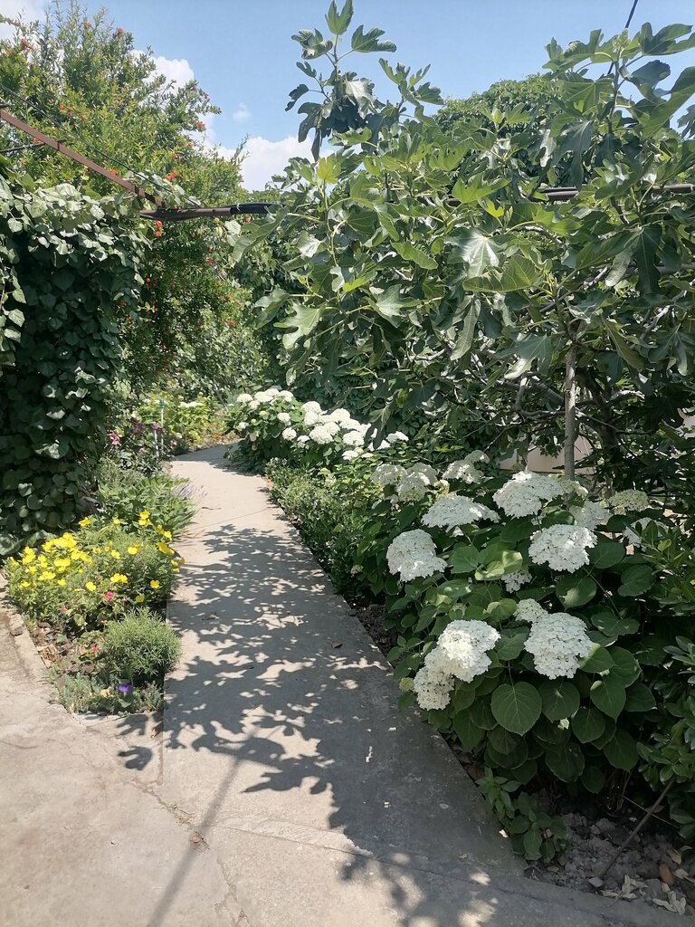 Otel Gostinica Na Lenina 35, Kırım Cumhuriyeti, foto