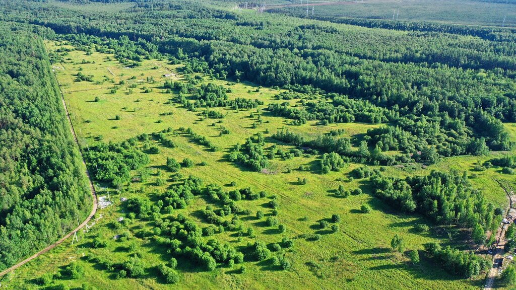 Yazlık yerleşim Жемчужина Петергофа, Saint‑Petersburg ve Leningradskaya oblastı, foto