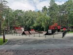 Skatepark (Novosibirsk, Park of Culture and Rest Zaeltsovsky), kaykay parkı  Novosibirsk'ten