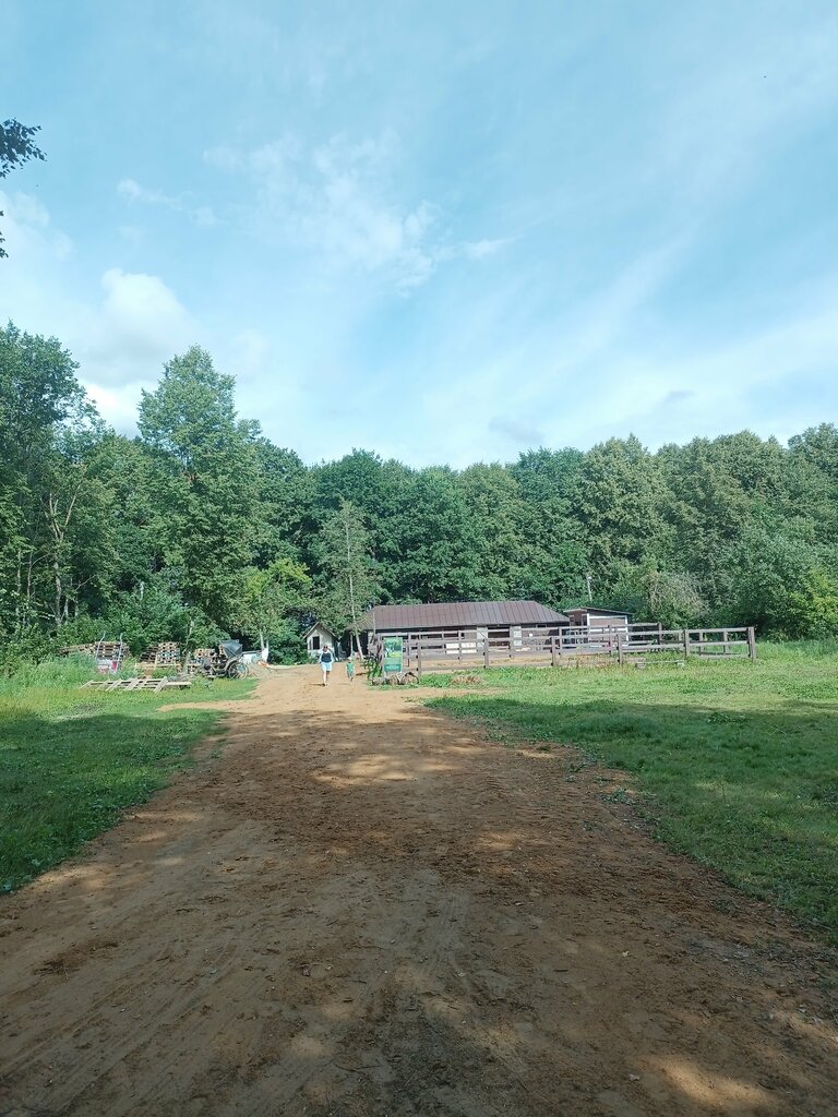 At ve binicilik kulüpleri Конный двор Гончаровых, Kalujskaya oblastı, foto