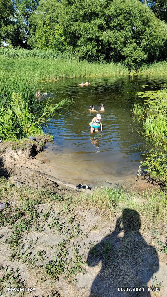 Plaj Пляж, Voronejskaya oblastı, foto