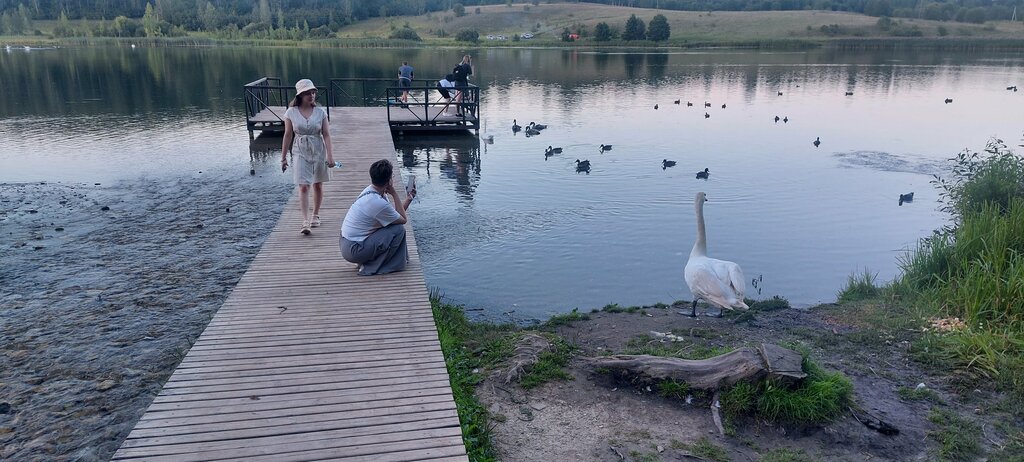 Dondurmacılar Мороженое, Pustoshka, foto