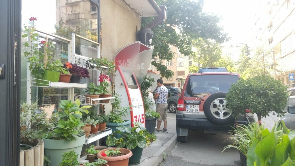 Ödeme terminali 365, Tiflis, foto