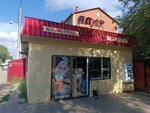 Aliya (Ukrainskaya Street No:12/2), market  Oral'dan (Uralsk'tan)