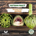 Kendine Bostan (Yeşilköy Mah., Gürhan Titrek Cad., No:23, Kaş, Antalya), manavlar  Kaş'tan