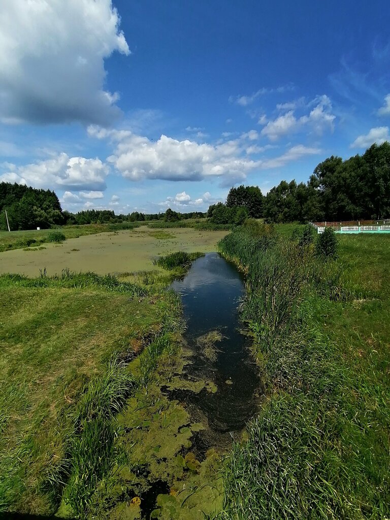 Piknik alanı Месца адпачынку, Mogiliovskaya oblastı, foto