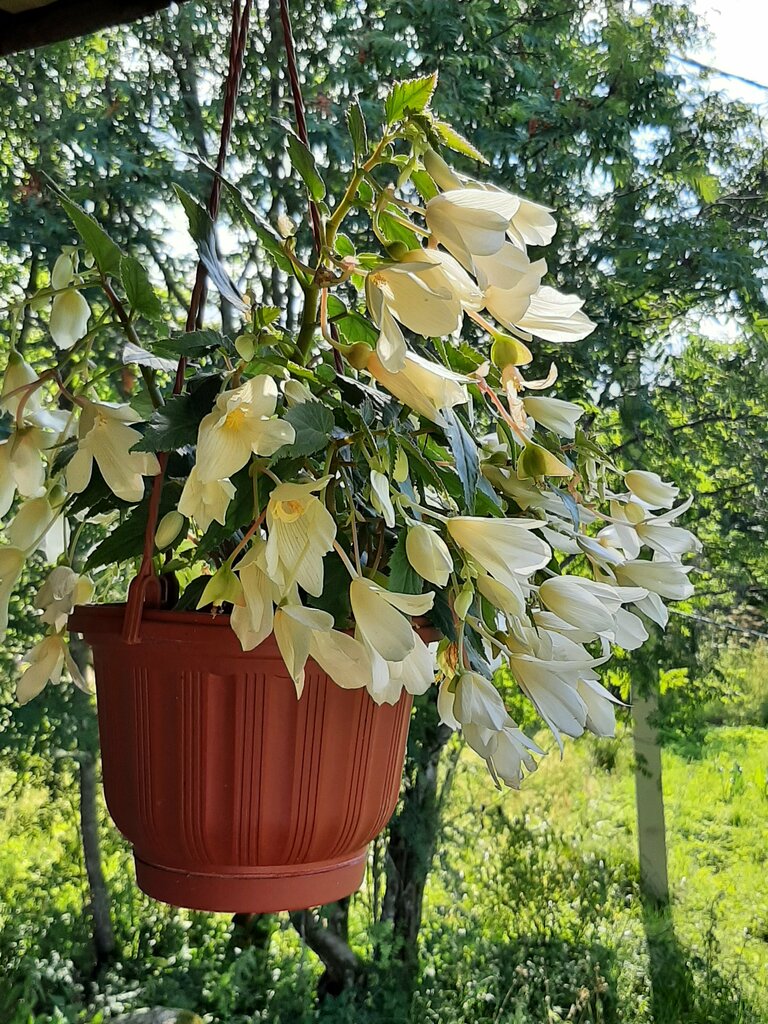 Tren istasyonu остановочный пункт Соколиное озеро, Saint‑Petersburg ve Leningradskaya oblastı, foto