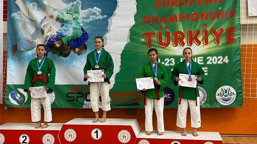 Lise Ahmet Cevdet Paşa Sosyal Bilimler Lisesi, Aksaray, foto