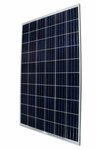 Alpex Power (Düzce, Düzce Merkez, Bayrak Cad., 6), yönetim ofisi  Düzce'den