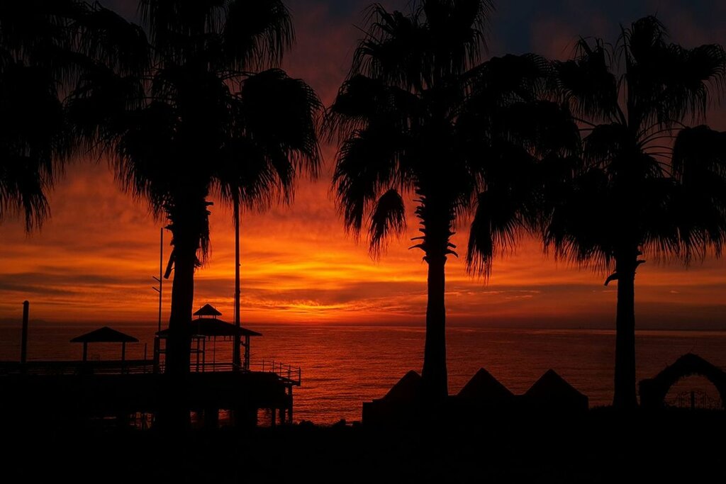 Gece kulüpleri Seagull Bar, Kemer, foto