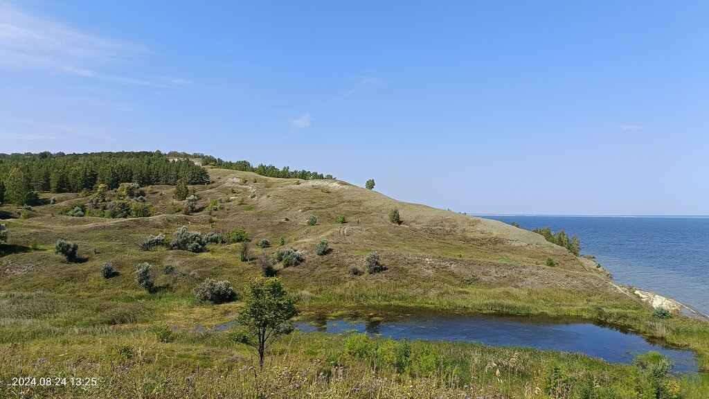 Doğa Экологическая тропа Волжский берег, Ulyanovskaya oblastı, foto