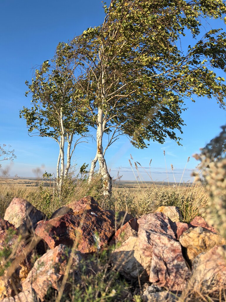 Dağ zirvesi Гора Острая, Çeliabinskaya oblastı, foto