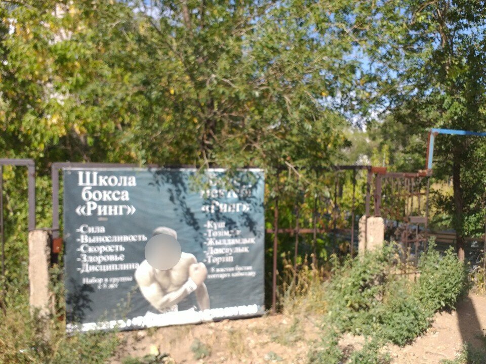 Spor kulüpleri The ring, Temirtav, foto