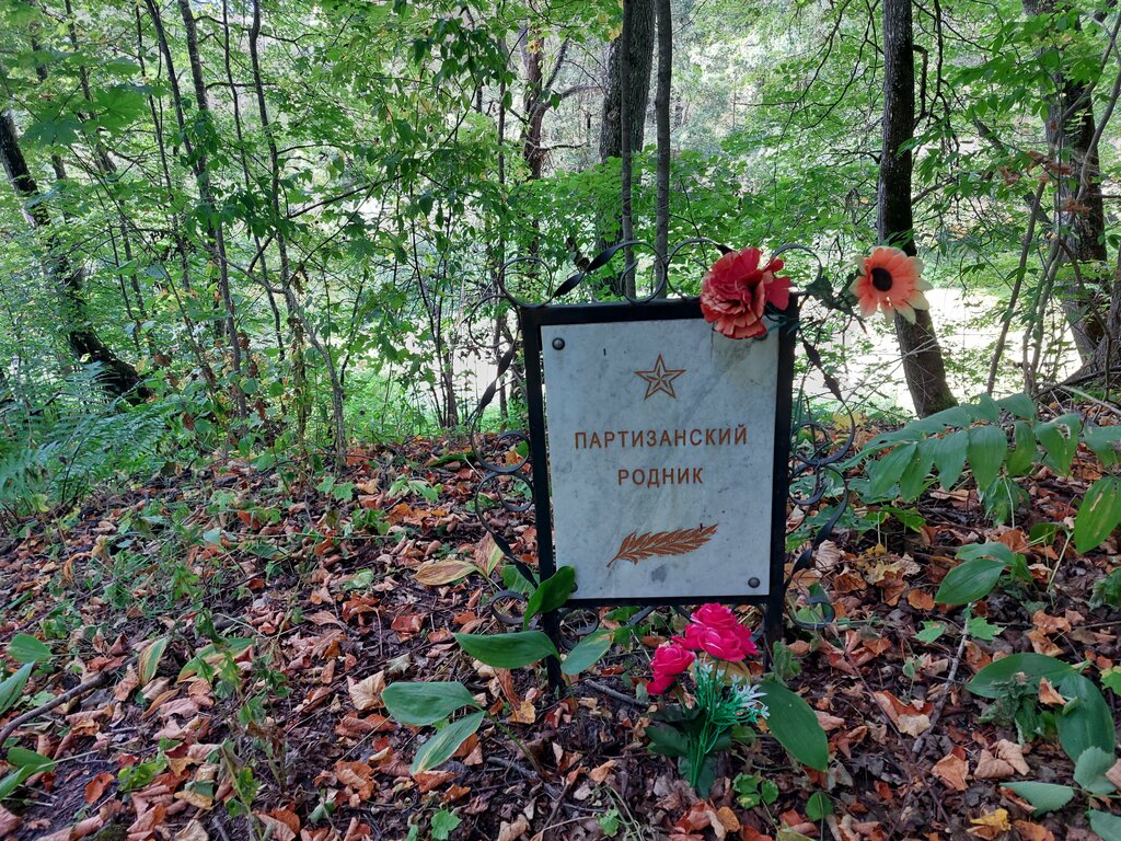 Anıt, heykel Могила неизвестного партизана, Brianskaya oblastı, foto