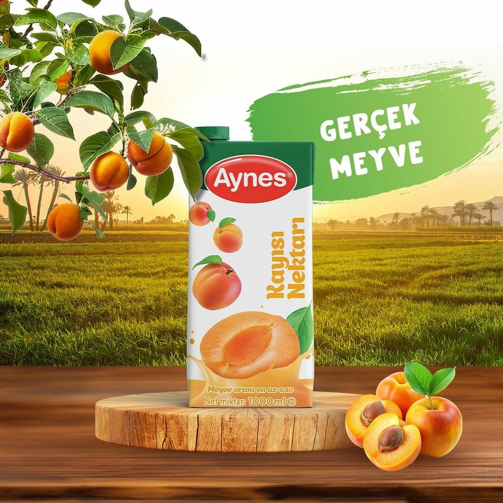 Gıda üreticileri Aynes Gıda Sanayi, İstanbul, foto