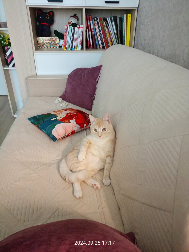 Tarım firmaları Severnyy polyus, Nenets özerk okrugu, foto