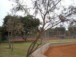 Major Tennis League of Surco (Distrital Santiago de Surco, San Ignacio de Loyola De Monterrico), tenis kortu  Lima'dan