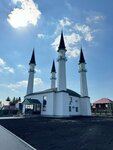 Мечеть (Zapadnaya ulitsa No:11, posyolok gorodskogo tipa Aksubayevo), cami  Tataristan'dan
