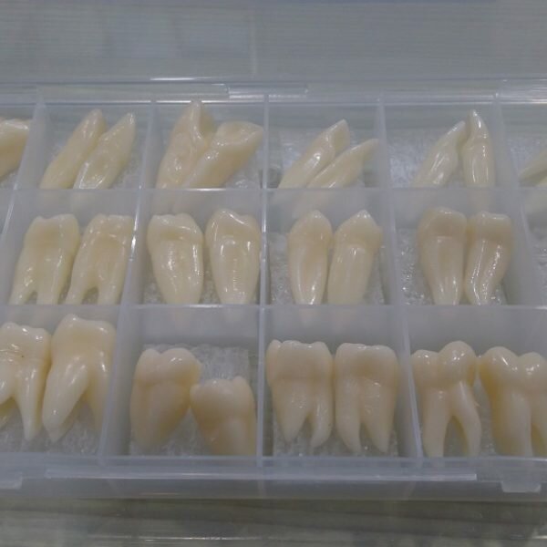 Diş sağlığı ekipmanları Gülsa Dental Malzemeleri), İstanbul, foto
